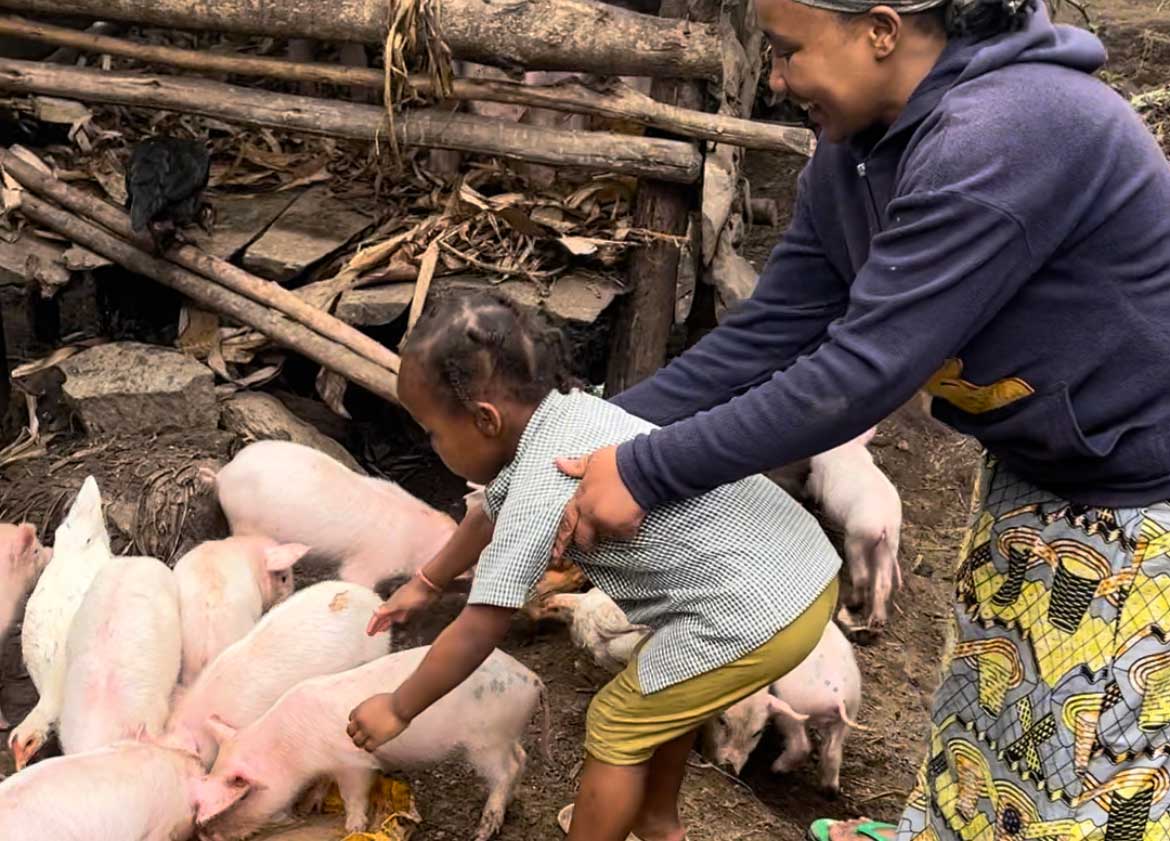 Big Pig Project - Chance for Childhood